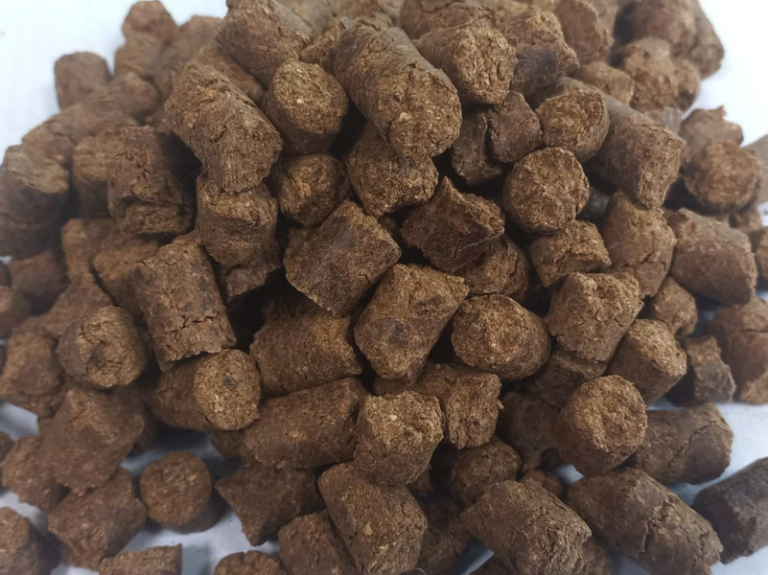 OUR PRODUCT ANIMAL FEED – PT. Agrigrow International Trading