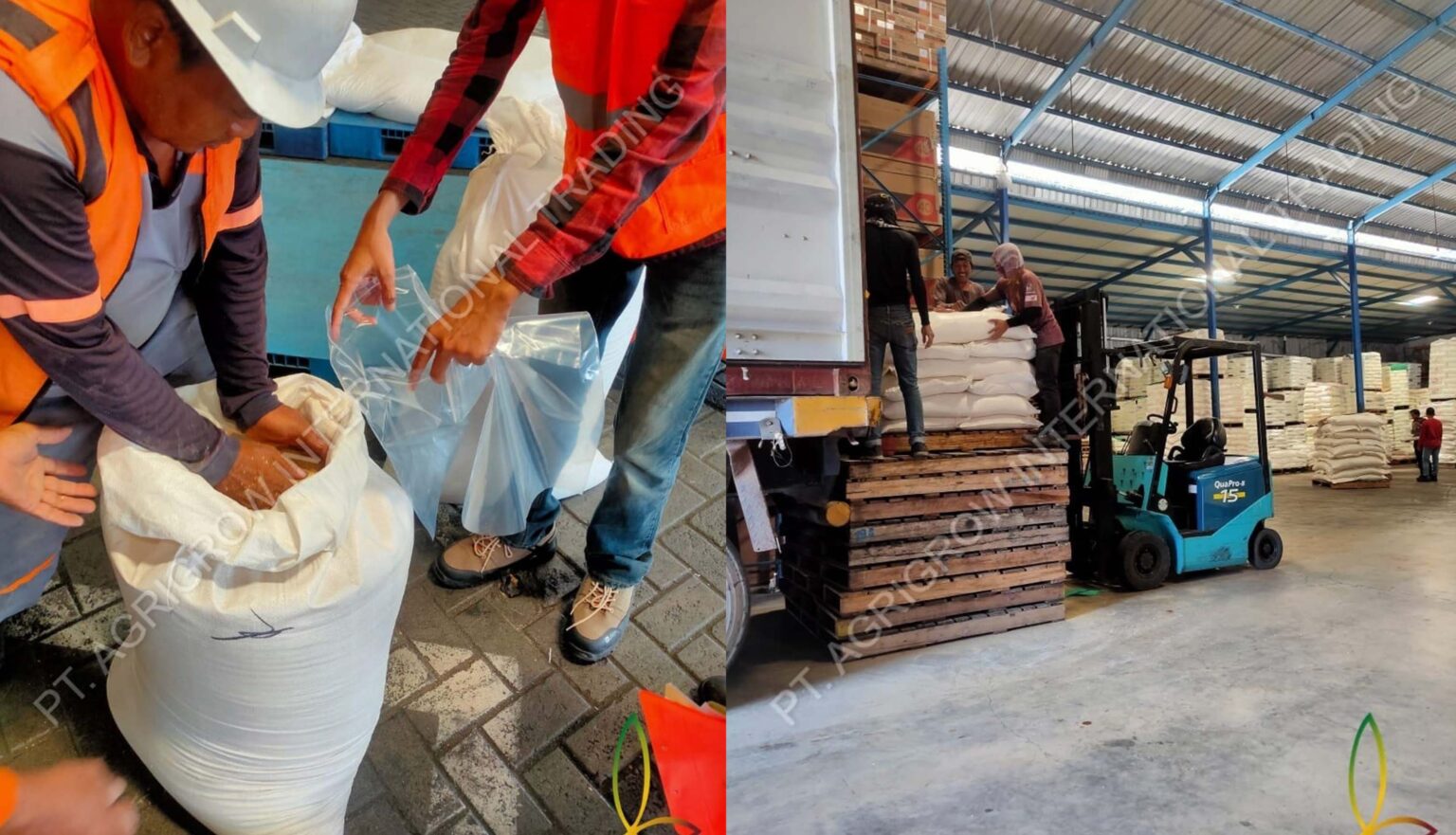 PT. Agrigrow International Trading – Organic Feed and Tapioca Starch ...